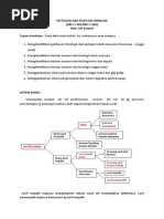 Interpretasi Hasil Foto Rontgen Anatomi Normal | PDF