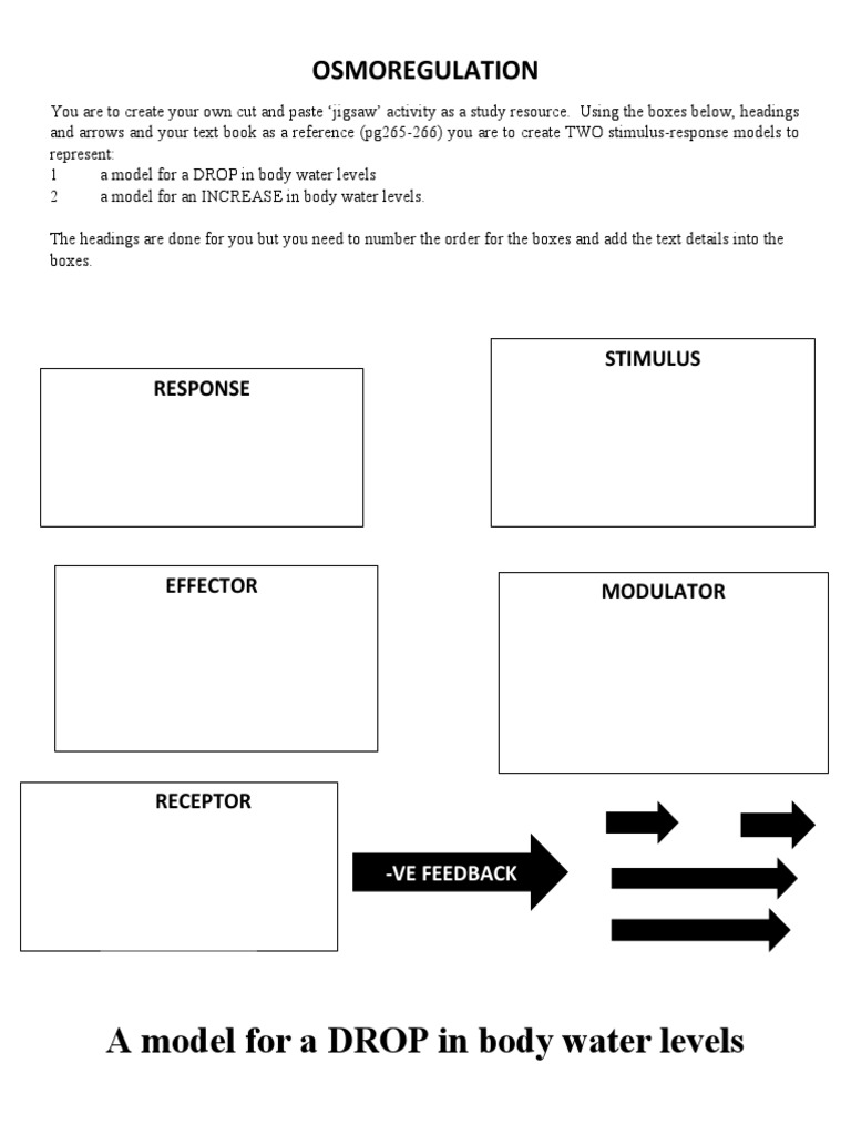 Osmoregulation HOMEOSTASIS Cut and Paste Activity | PDF