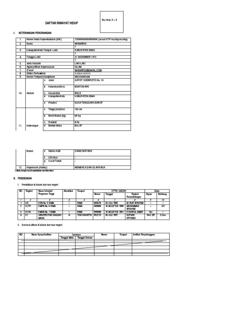 Contoh Pengisian Daftar Riwayat Hidup PPPK | PDF