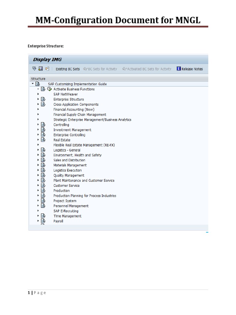 MM - CONFIGURATION DOCUMENT FOR MNGL Revised | PDF | Receipt | Inventory