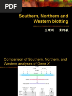 History of Northern blotting | Northern Blot | Blot (Biology)