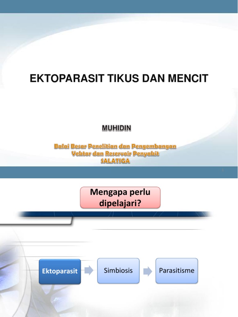 Ento - Ektoparasit Tikus | PDF | Sains & Matematika