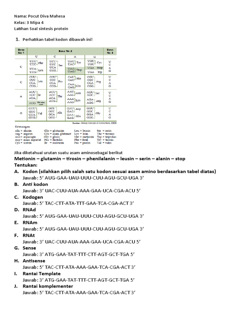 Latihan Soal Sintesis Protein | PDF