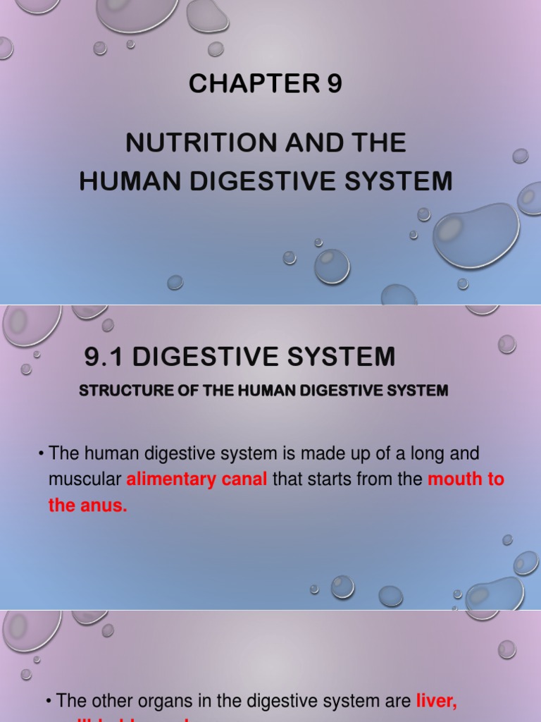 Chapter 9 Bio F4 | Download Free PDF | Digestion | Human Digestive System