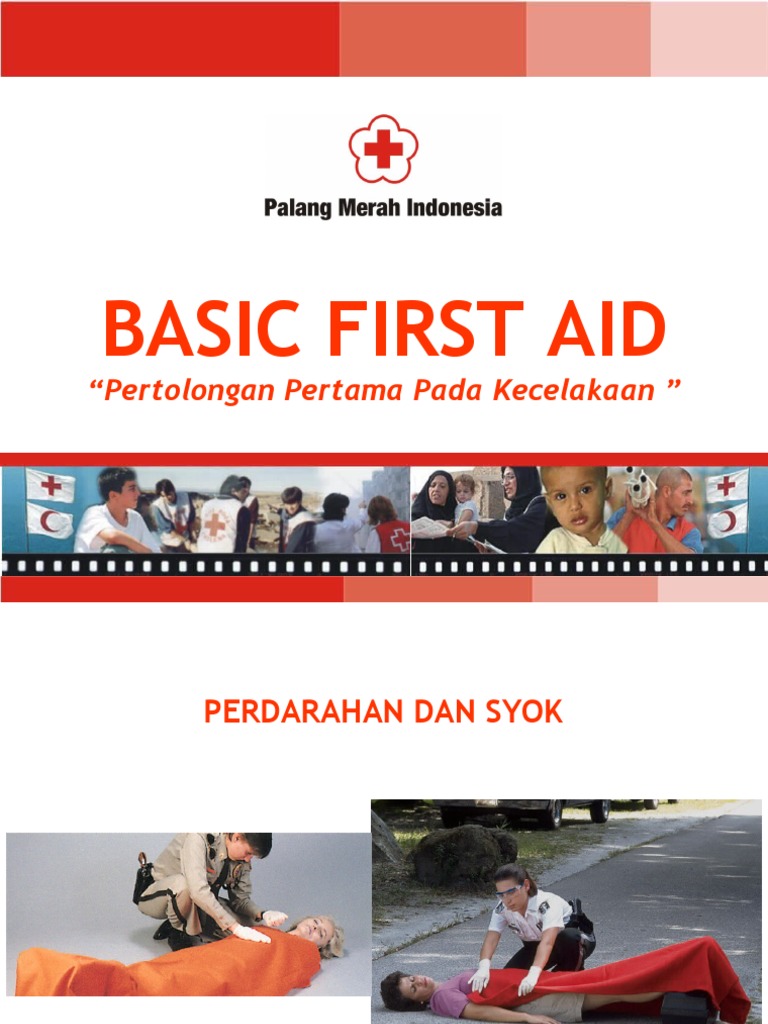 Basic First Aid (BFA) by PMI | PDF