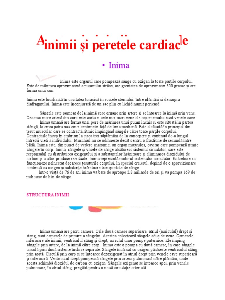 Anatomia Inimii | PDF