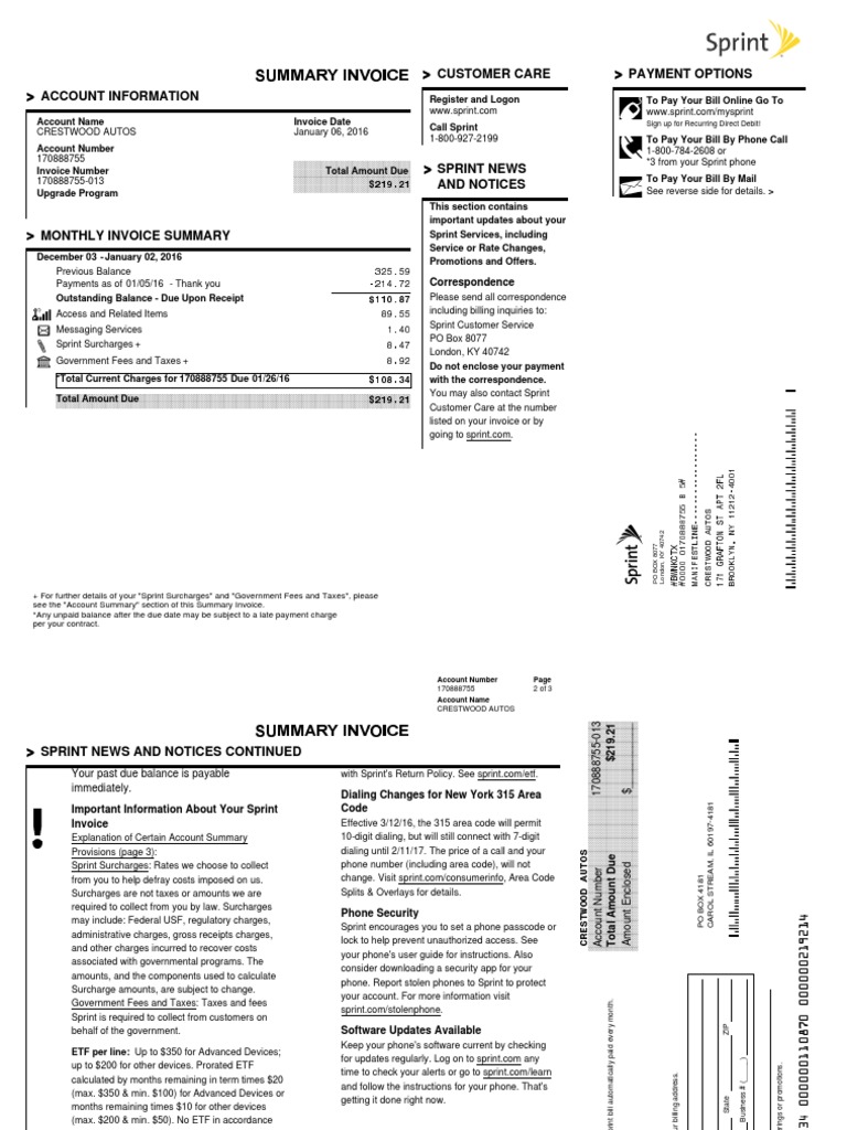 Summary Invoice: Account Information Customer Care Payment Options ...