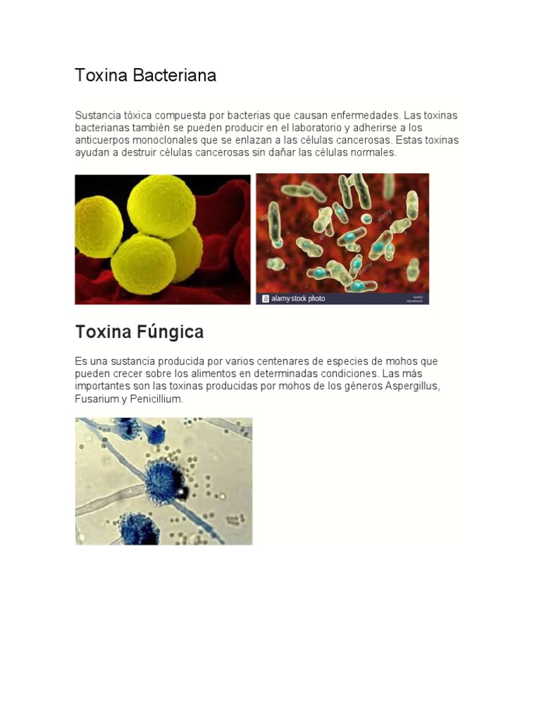 Toxinas | PDF