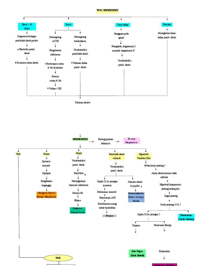 Woc Hipertensi | PDF