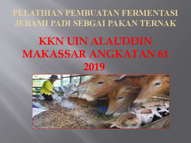 Pelatihan Pembuatan Fermentasi Jerami Padi Sebagai Pakan Ternak | PDF