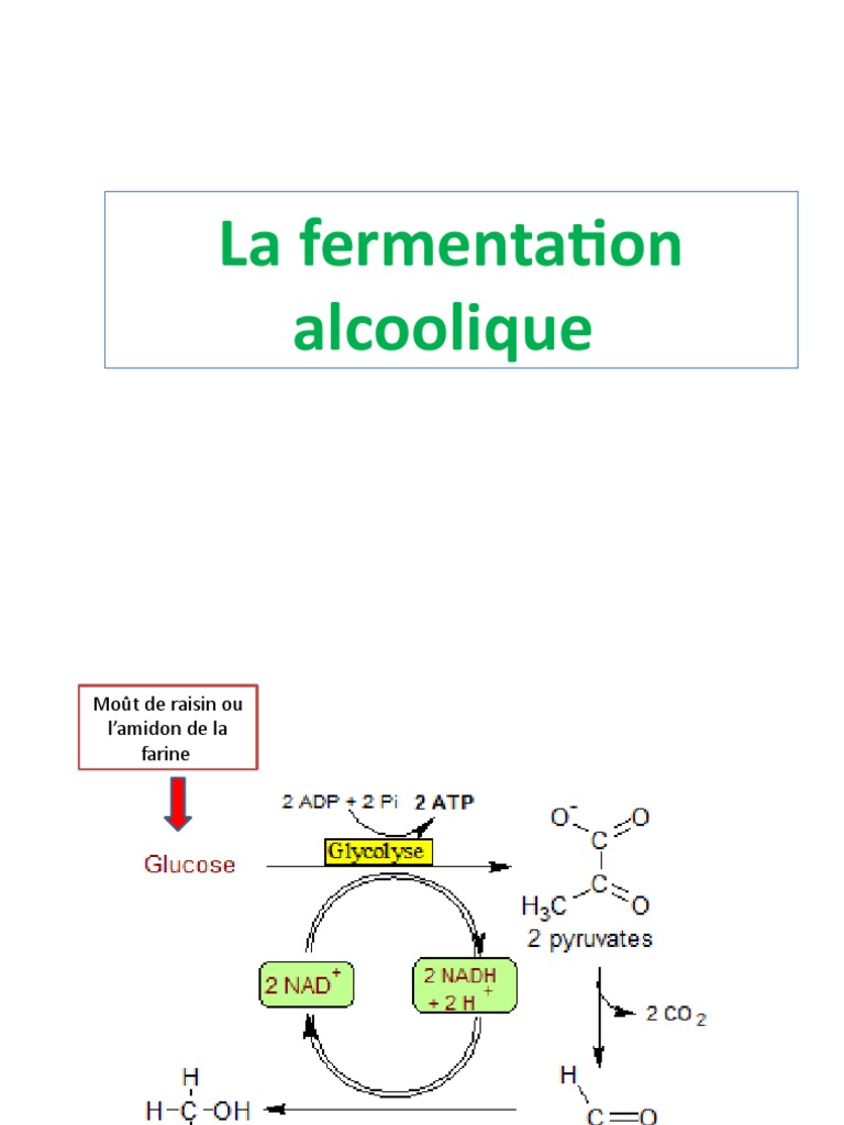 Secrets de la Fermentation Alcoolique | PDF | Arômes du vin | Levure