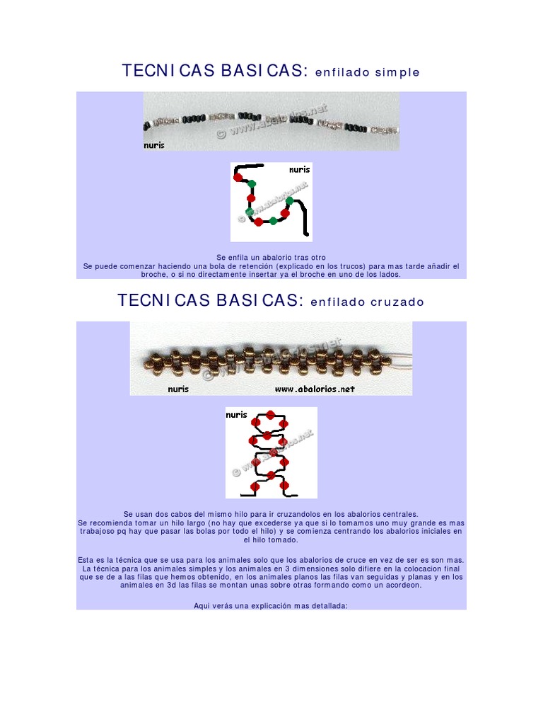 Tecnicas Basicas | PDF | Naturaleza