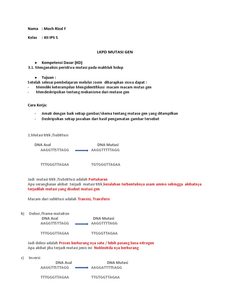 M.rizal Xii Ips 5 LKPD Mutasi Gen I | PDF