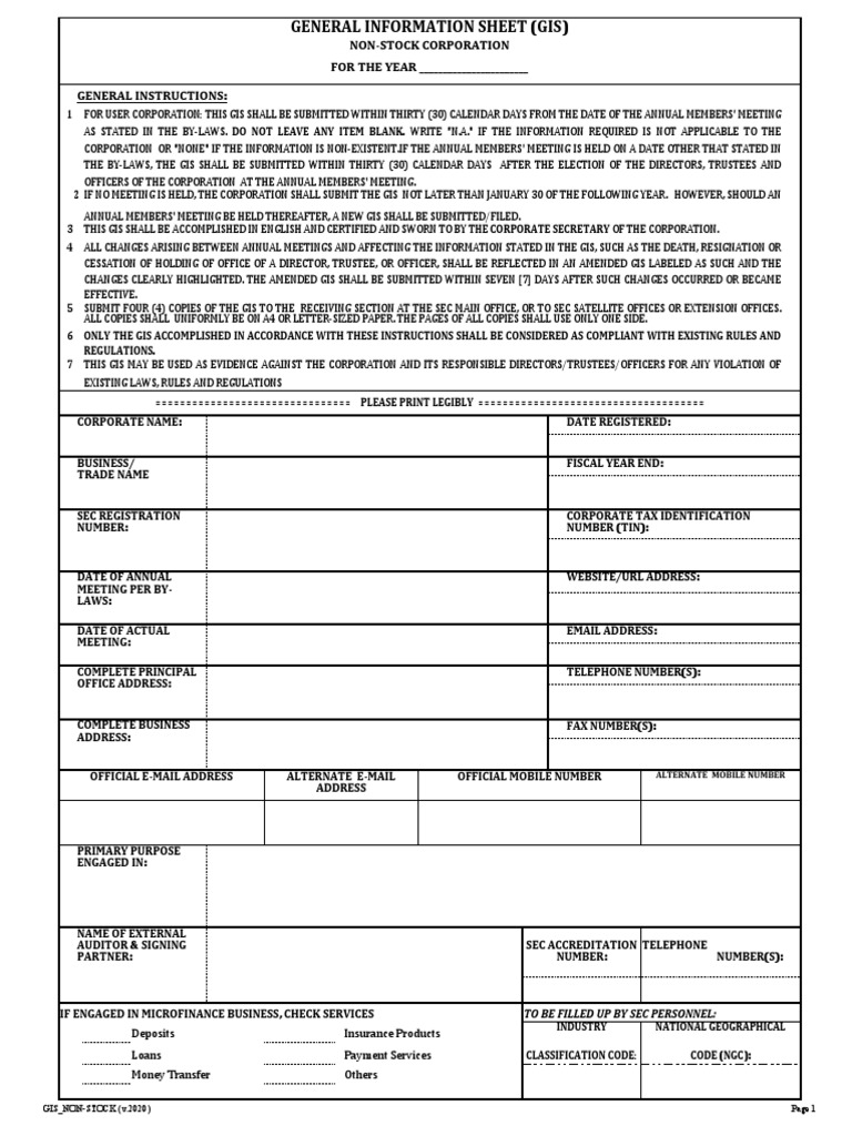 Non-Stock Corporation FOR THE YEAR - General Instructions | PDF ...