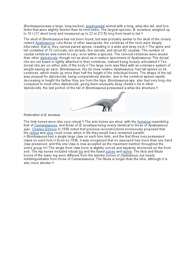 Brontosaurus | Download Free PDF | Science | Paleontology