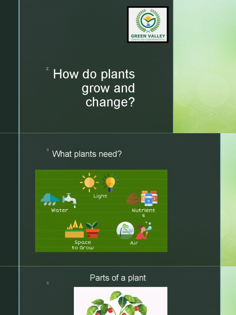 Essentials of Plant Growth and Change | PDF | Home & Garden | Science ...