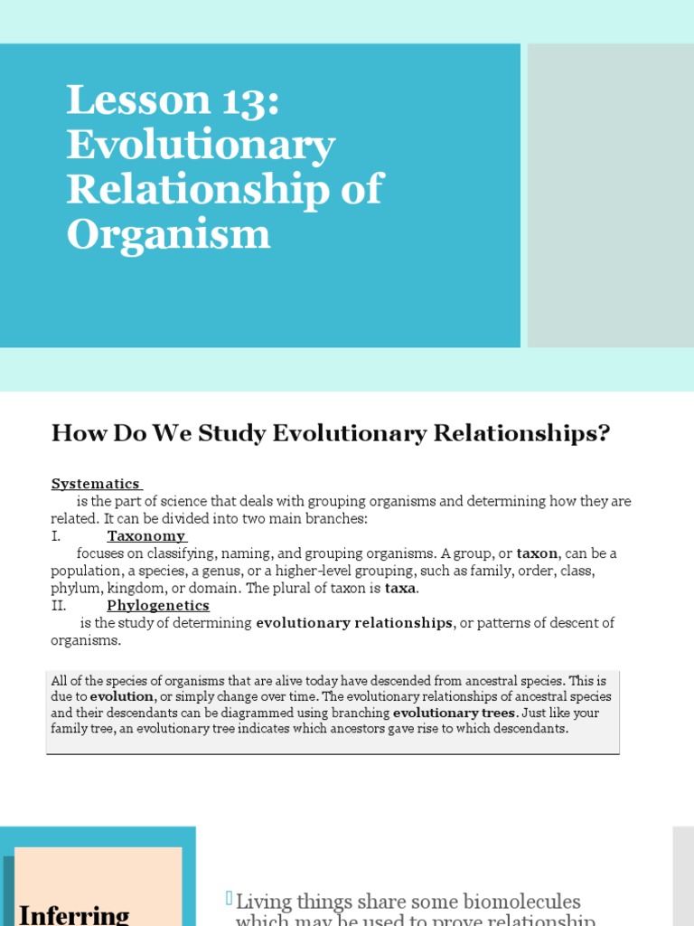 Lesson 13: Evolutionary Relationship of Organism | PDF | Phylogenetic ...