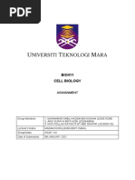 Enzyme Activity Lab Report - IB Biology | PDF | Enzyme | Catalase