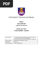 Experiment 2: Plant Tissues: Biology Sb015 Lab E-Report | PDF | Tissue ...