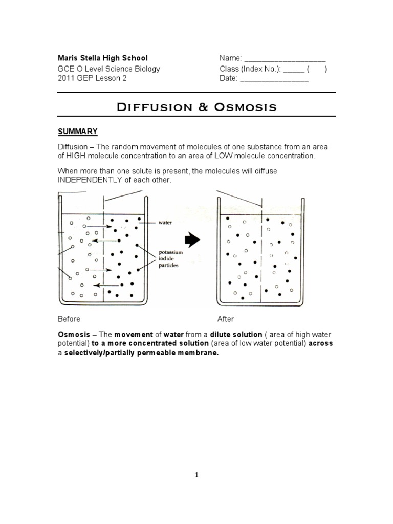 GEP Worksheets - Diffusion and Osmosis Revised | PDF | Osmosis | Chemistry