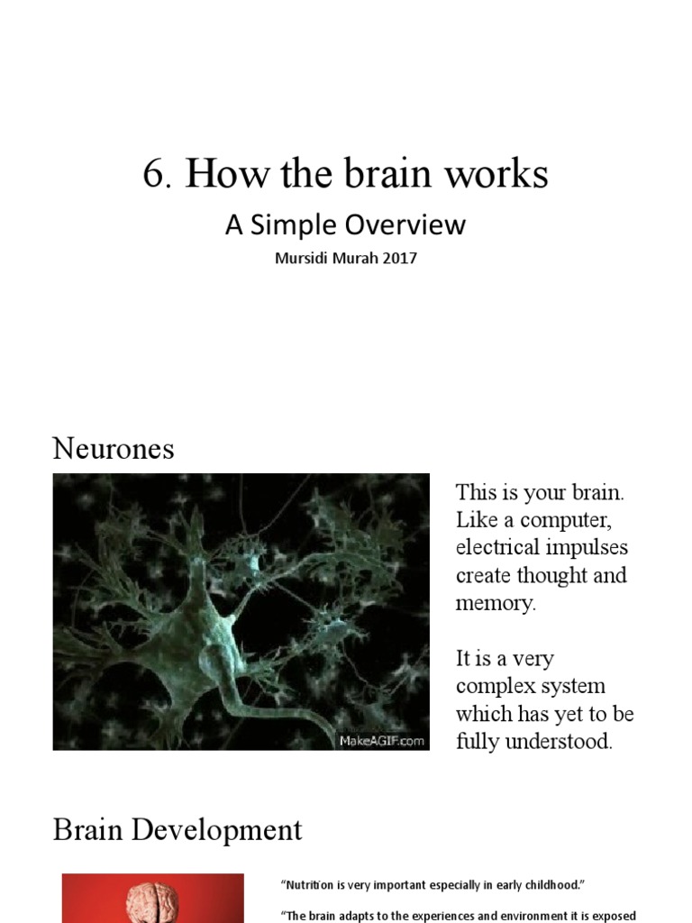 Growth Mindset - How The Brain Works | PDF | Brain | Neuron