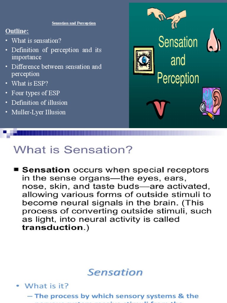 Sensation | PDF