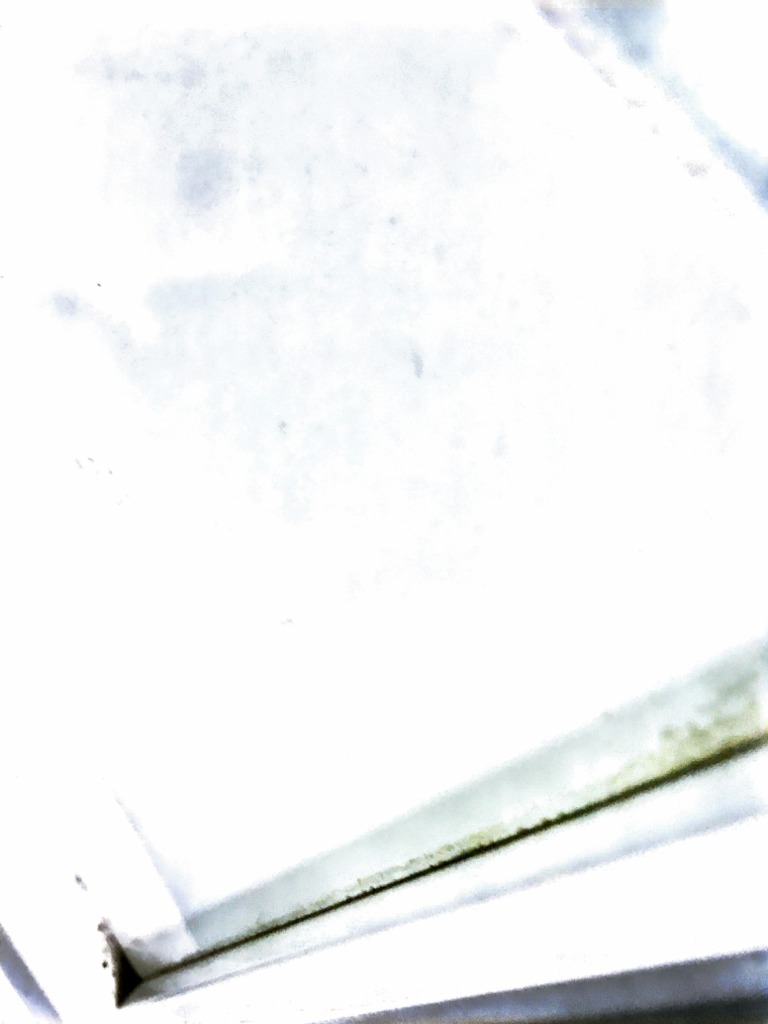 Blur | PDF