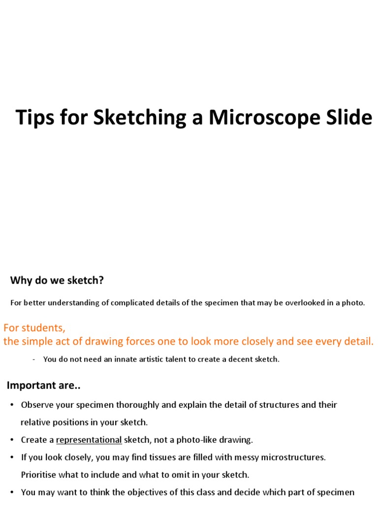 How To Sketch A Microscope Slide | PDF | Microscope | Optics