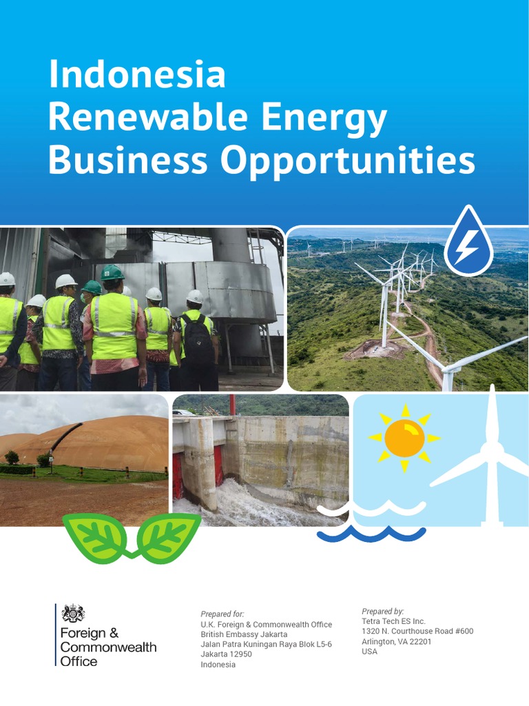 Indonesia Business Opportunities Study | PDF | Renewable Energy | Solar ...