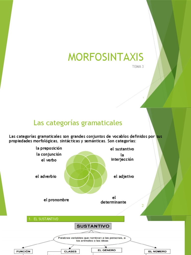 Tema 3 Morfosintaxis | PDF | Adjetivo | Adverbio