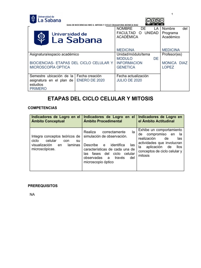 Guia De Mitosis Y Ciclo Celular Pdf Mitosis Cromosoma 4135