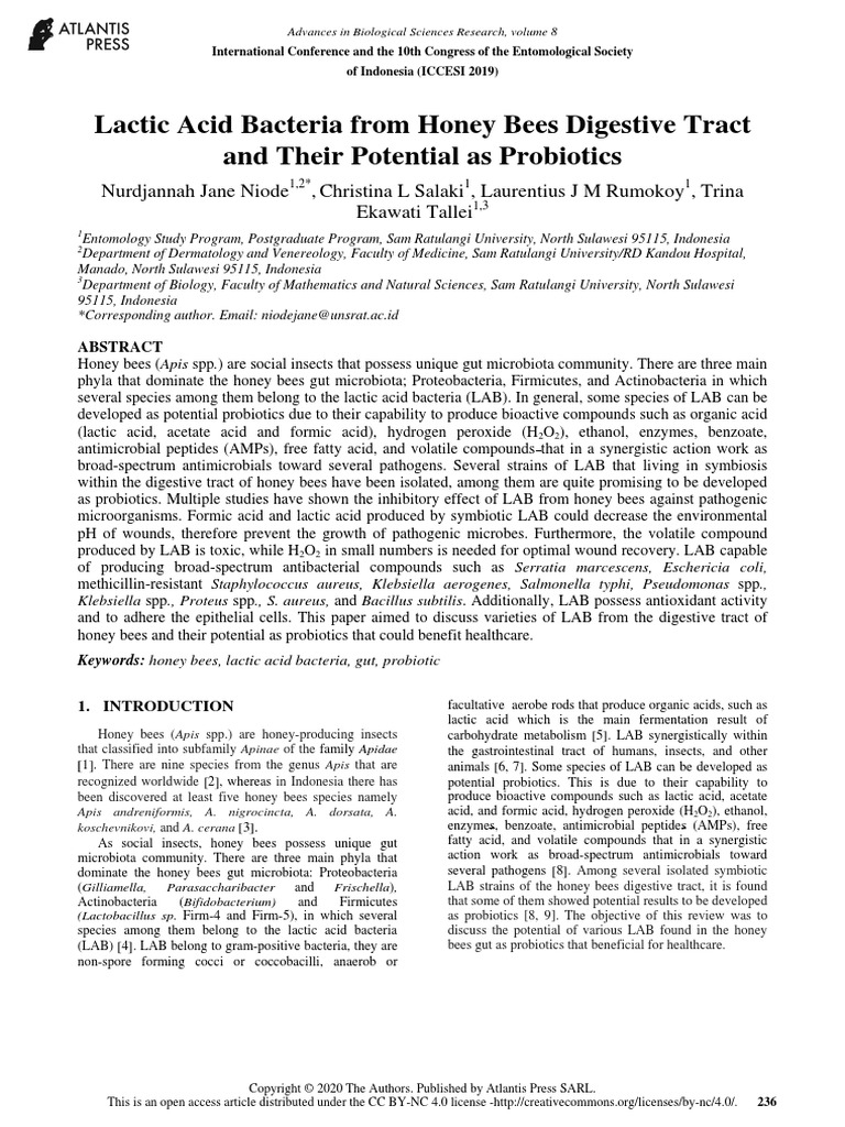 Lactic Acid Bacteria From Honey Bees Digestive Tra | PDF ...
