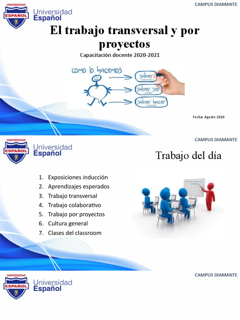 Curso Proyectos Transversales | PDF | Educación primaria | Maestros