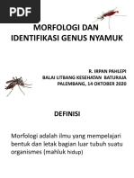 Rincian Barang Paket Entomologi Kit 2023 | PDF