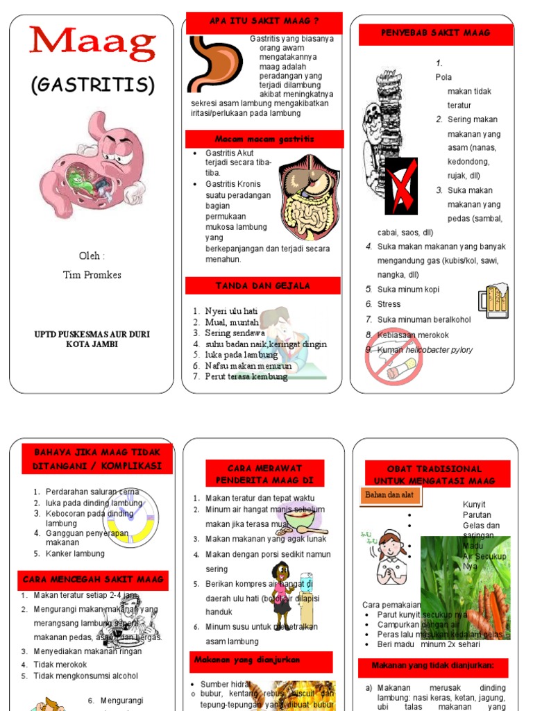 Leaflet Gastritis | PDF