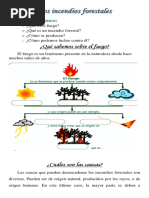 Ciclo Del Agua - Sopa de Letras | PDF