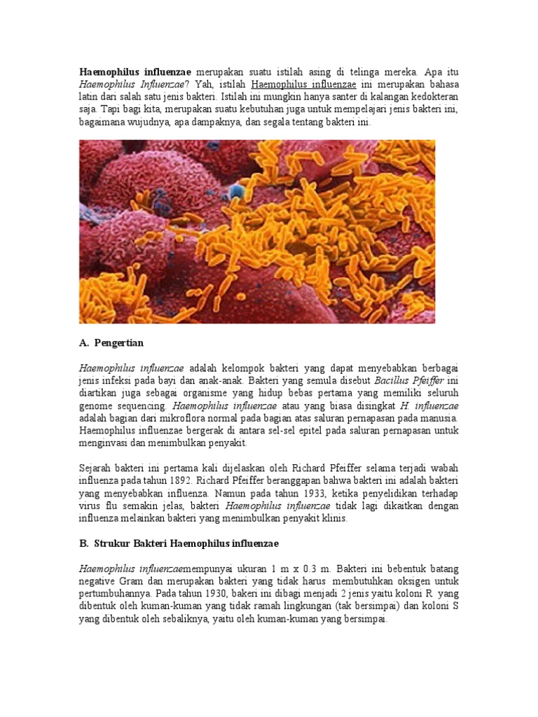 Haemophilus Influenzae | PDF