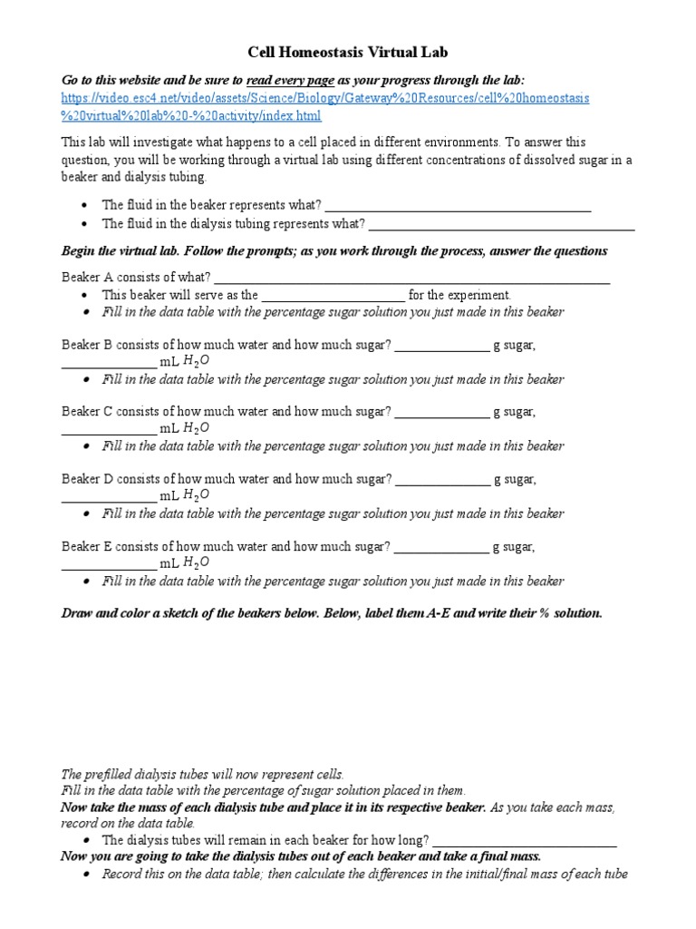 Cell Homeostasis Virtual Lab | PDF | Mass | Chemistry