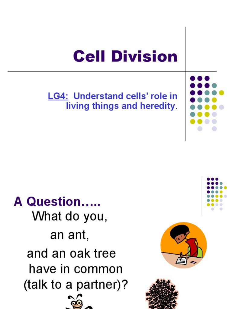 Understanding Cell Division and Growth | PDF | Meiosis | Mutation