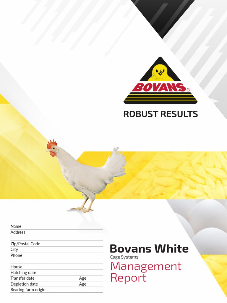 Bovans White CS Cage English Management Report | PDF | Chicken | Egg