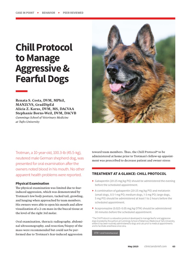 Chill Protogol To Manage Aggressive & Fearful Dogs | PDF | Anesthesia ...