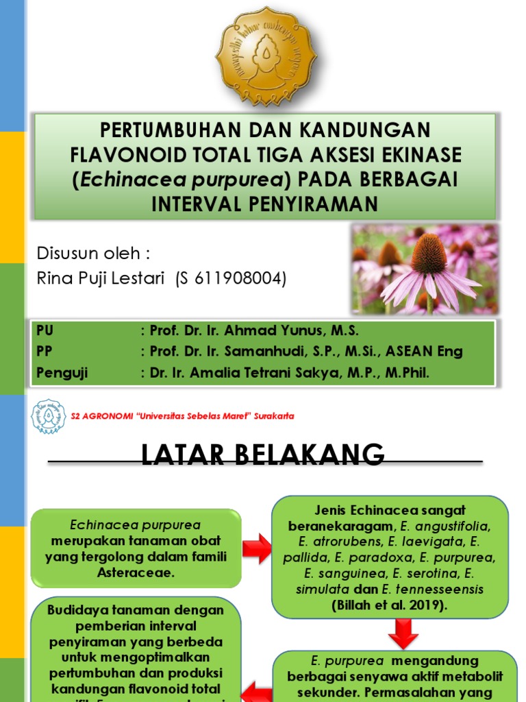 Semprop Rina Puji Lestari 2020 | PDF