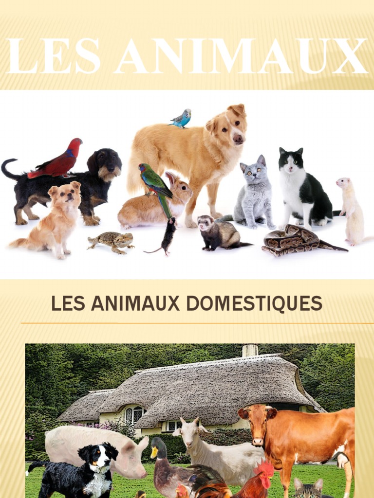 Les Animaux | PDF