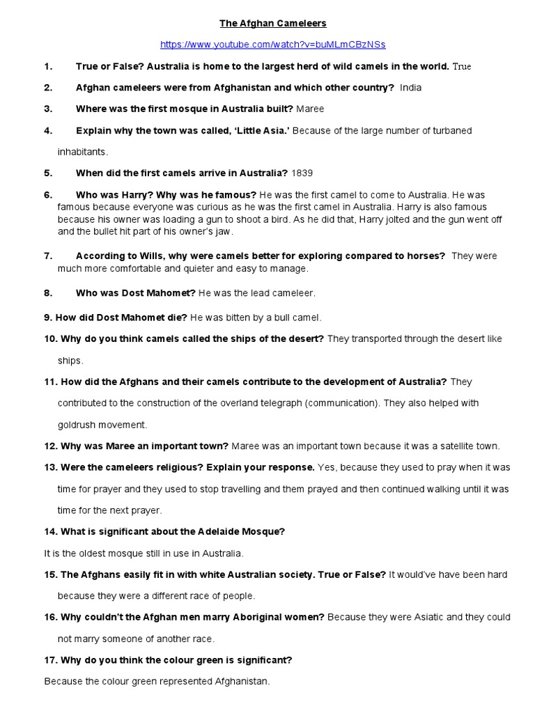 Afghan Cameleers Video Worksheet | PDF | Afghanistan