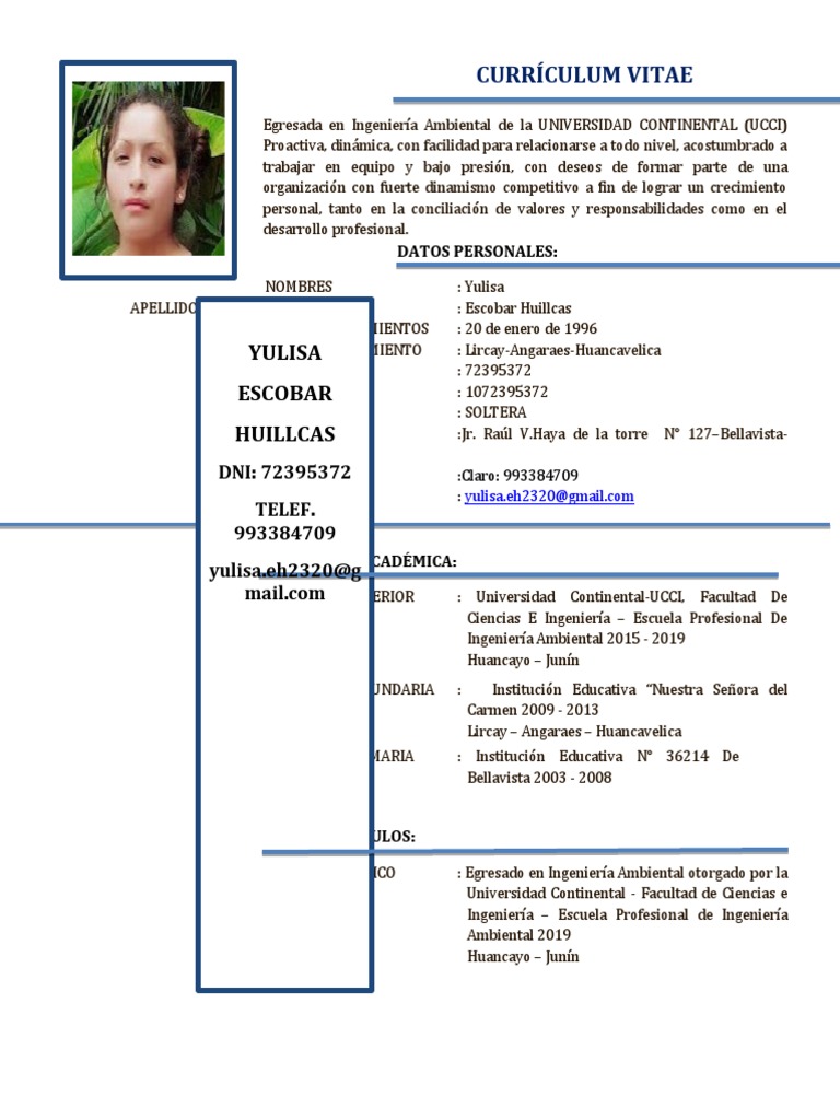 CURRÍCULUM VITAE - Yulisa Escobar Huillcas | PDF | Naturaleza | Business