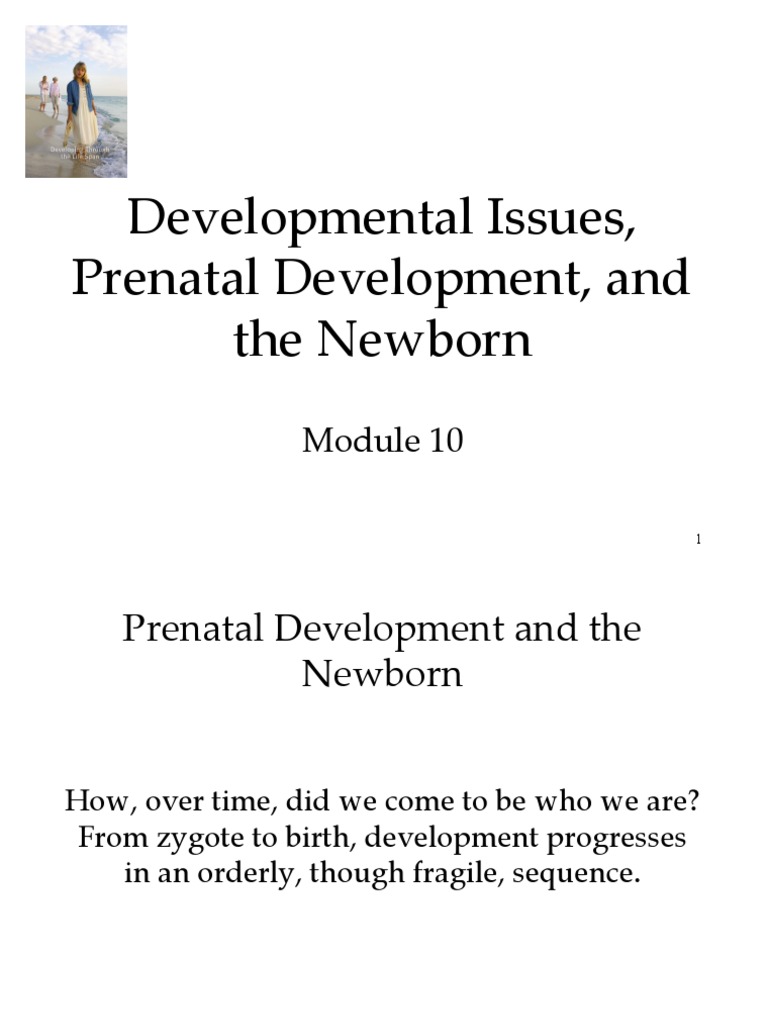 Developmental Issues, Prenatal Development, and The Newborn | PDF ...