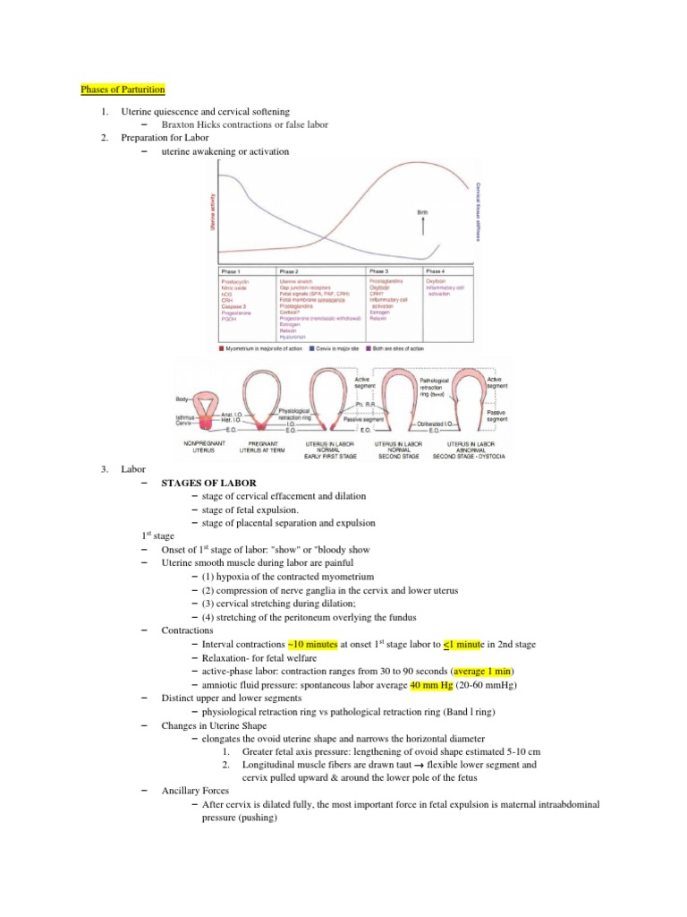Braxton Hicks Contractions or False Labor: ST ST | PDF | Childbirth ...