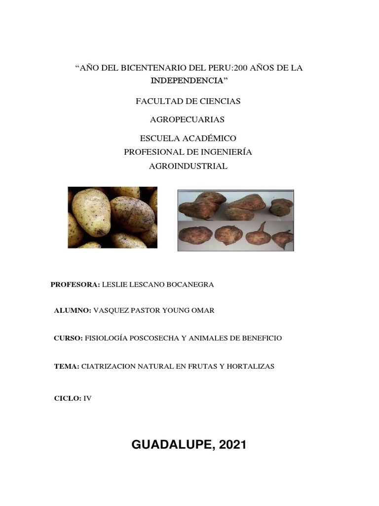 Informe 5 Cicatrizacion Natural En Frutas Y Hortalizas Pdf Humedad