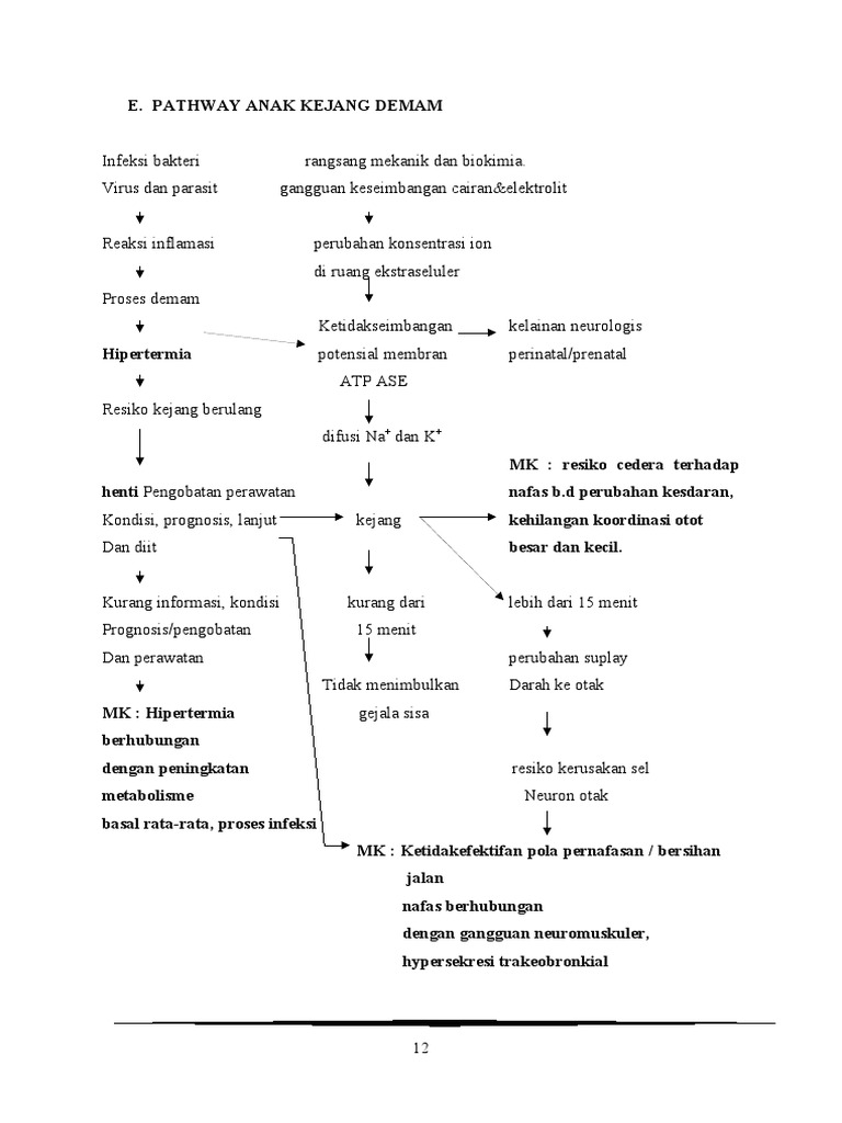 Pathway Anak Kejang Demam | PDF