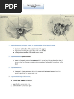 Grading of Tonsil | PDF